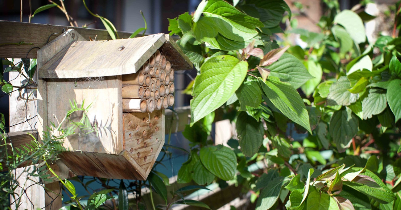 Home | William Tyndale Primary